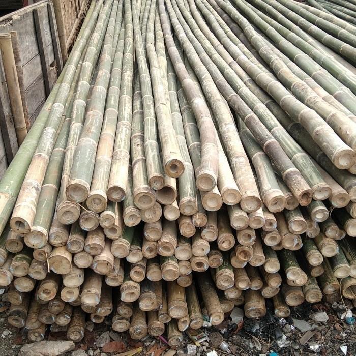 Jual Tiang bambu / Bambu steger / Bambu proyek I Bambu bekisting ...