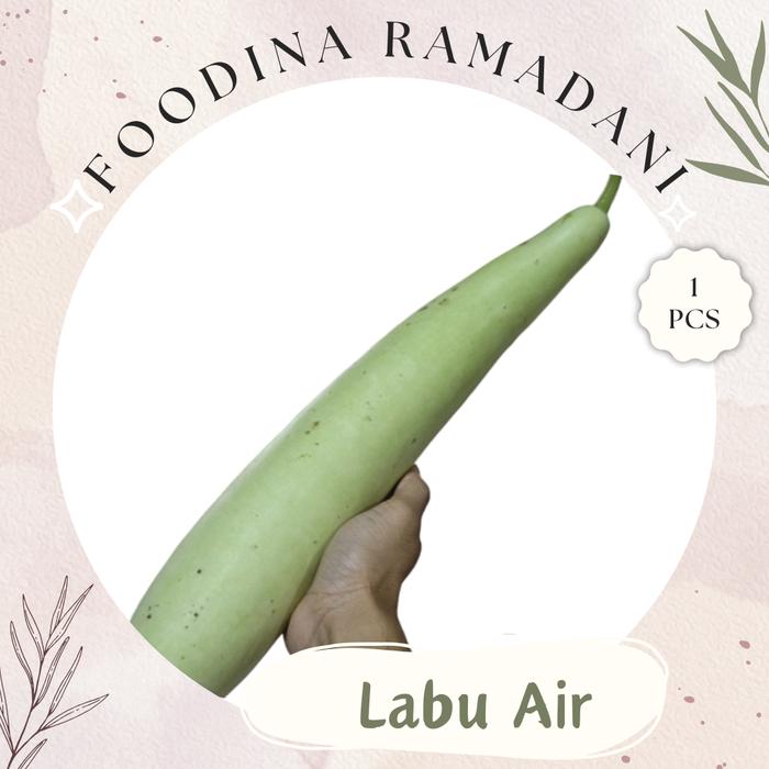 Jual LABU AIR Panjang - Water Gourd Fresh [ 1 Pcs ] Harga Per PCS ...