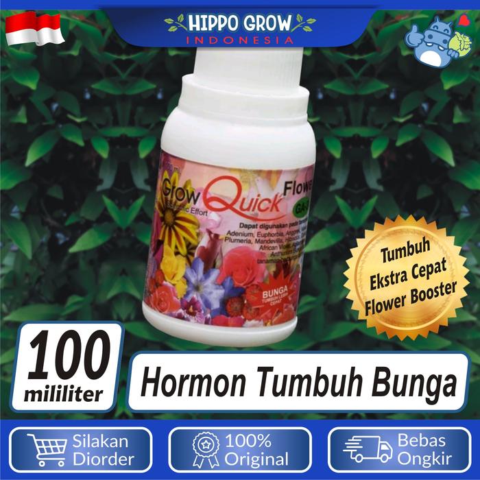 Jual Grow Quick GA Flower Hormon Vitamin Giberilin Tanaman Tumbuh Bunga - Kota Tangerang Selatan ...