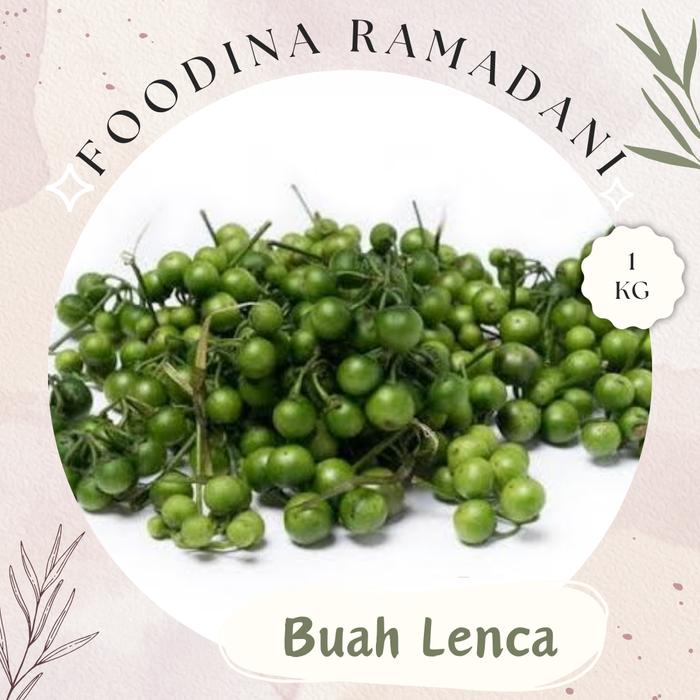 Jual BUAH LENCA Sayur - Leunca Fruit Fresh [ Berat 1.000gr ] Harga Per ...