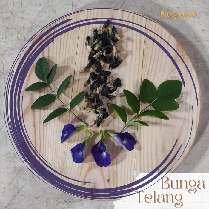 Jual Bunga Telang kering + bunga telang kering original + bunga telang ...