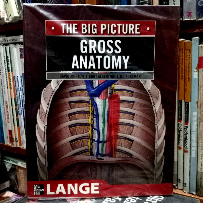Jual The Big Picture Gross Anatomy, David Morton. Original Lange ...