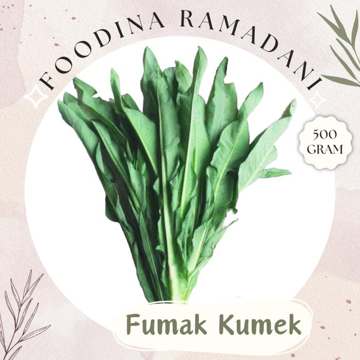 Jual FUMAK Kumek - Kumak Fresh [ Berat 500gr ] Harga Per 0,5 KG ...