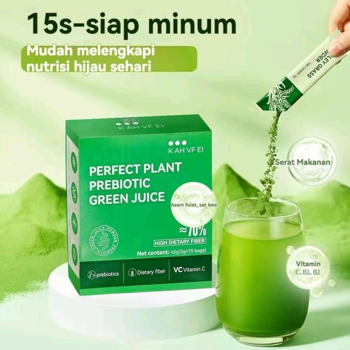 Jual PAKET 2 BOX PERFECT PLANT PREBIOTIC GREEN JUICE GREEN PROBIOTIC ...