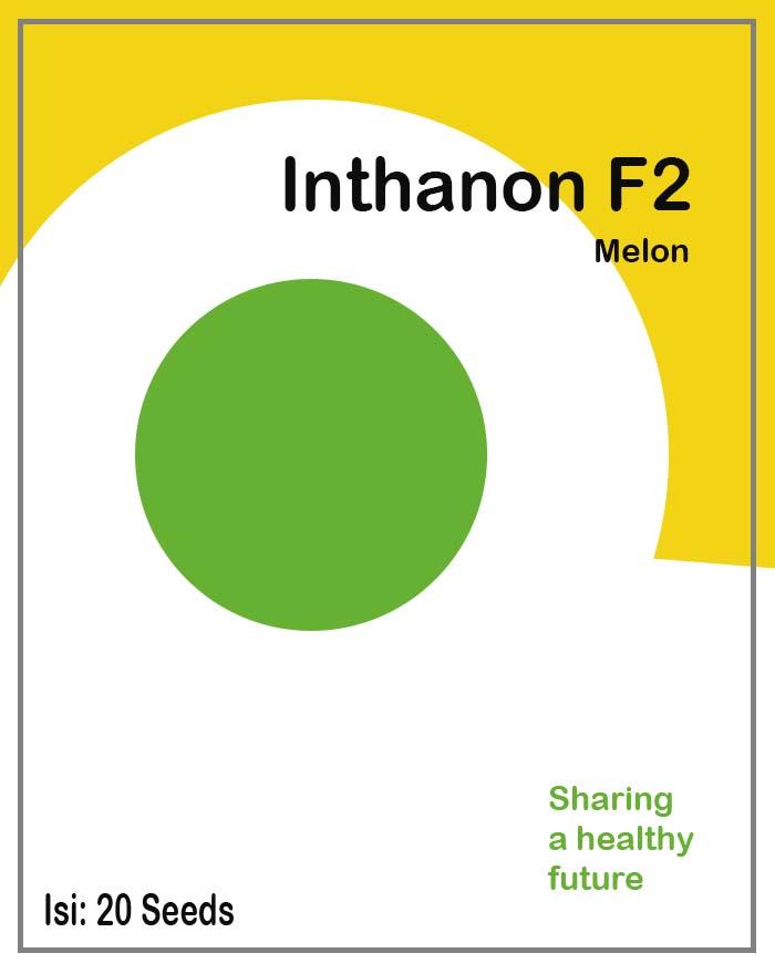 Jual Benih melon inthanon rz f2 (dari buah F1) - Kota Bandung - Bandung ...