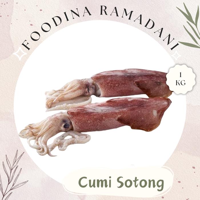 Jual Cumi Sotong Jumbo Besar Squid Fresh Berat 1000gr Harga Per Kg Jakarta Barat