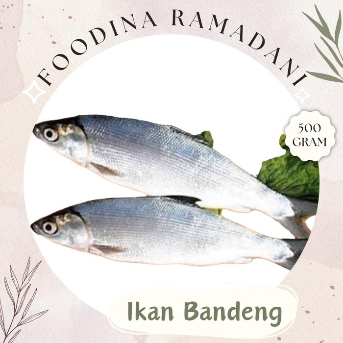 Jual IKAN Bandeng - Milkfish Fresh [ Berat 500gr ] Harga Per 0,5 Kg ...