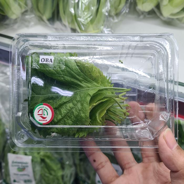 Jual daun oba segar daun perila fresh aka perilla leaves - Jakarta ...