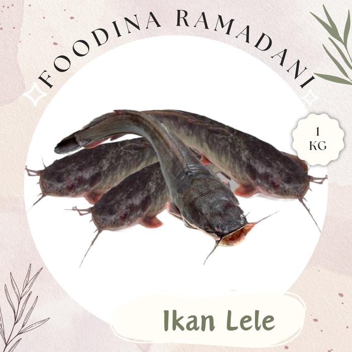 Jual IKAN LELE Hidup/Mati - CatFish Fresh [ Berat 1.000gr ] Harga Per ...