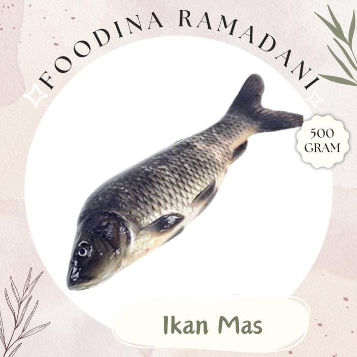 Jual IKAN MAS Karper - Carp Fish Fresh [ Berat 500gr ] Harga Per 0,5 Kg ...