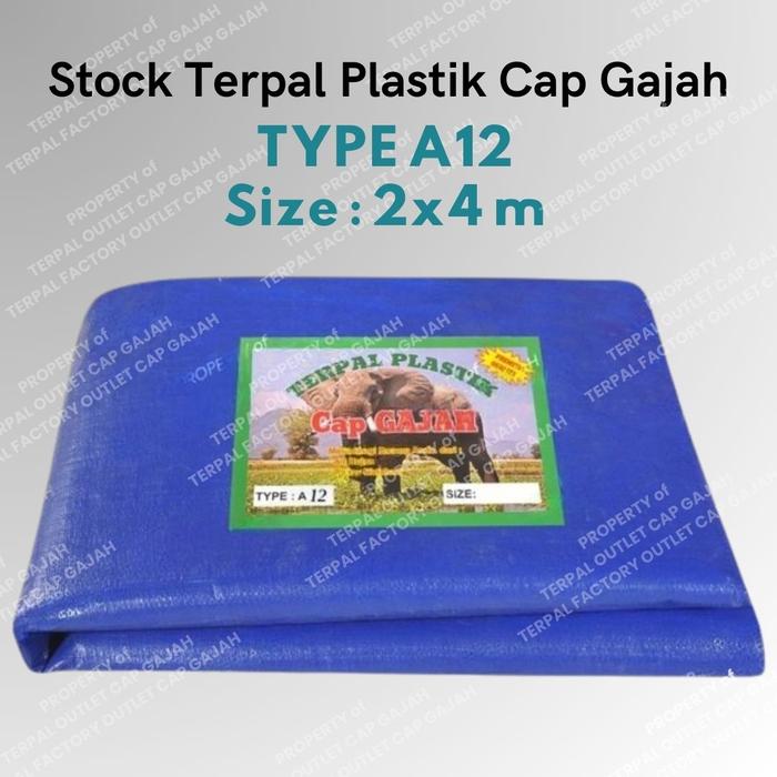 Jual TERPAL PLASTIK A12 UKURAN 2x4 Meter - Biru/Silver - Jakarta Timur ...