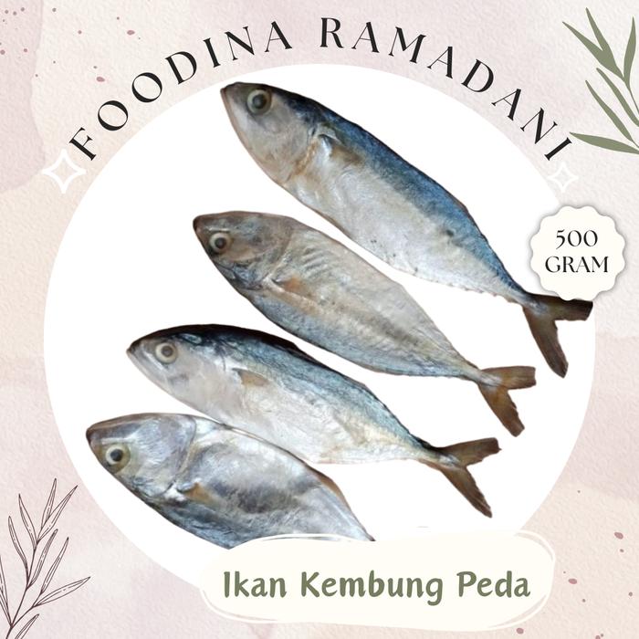 Jual IKAN KEMBUNG Peda Putih Ikan Asin - Salted Fish Fresh [ Berat ...
