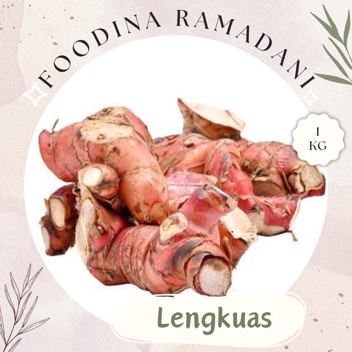 Jual LENGKUAS Laos - Galangal Fresh [ Berat 1.000gr ] Harga Per KG ...