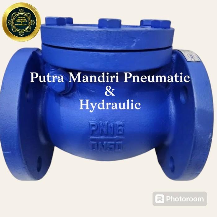 Jual Swing Check Valve 4" inch PN16 CAST IRON / Check Valve 4" inch ...