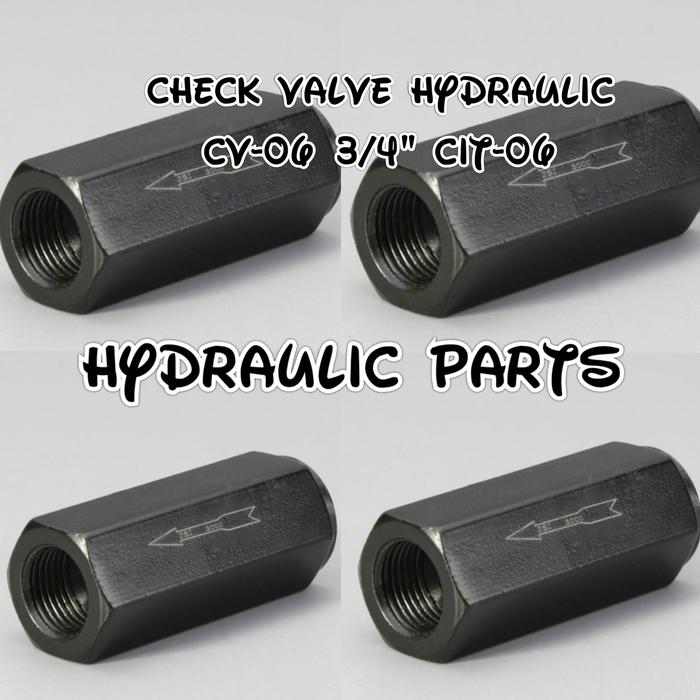 Jual CHECK VALVE CV-06 HYDRAULIC 3/4" CIT-06 - Jakarta Barat ...