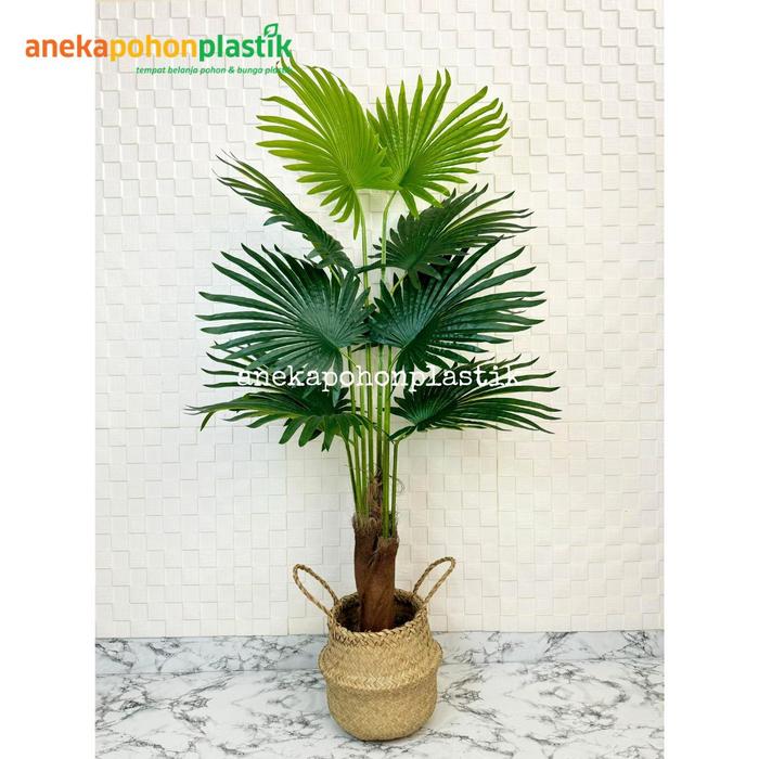 Jual Pohon Imitasi Tanaman Hias Palem Sadeng T160 Latex Pot Dasar Hitam ...