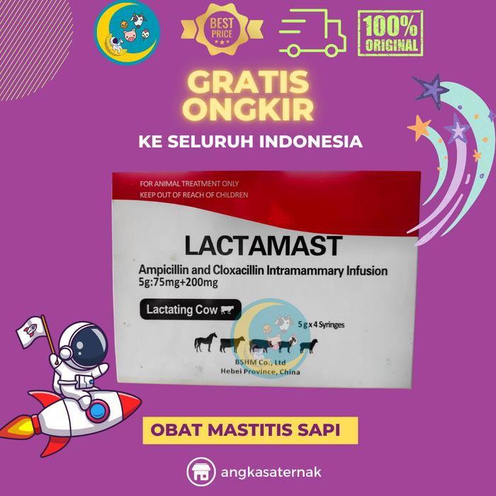 Jual Lactamast 1 Syring - Antibiotik Intramammary untuk Pengobatan ...