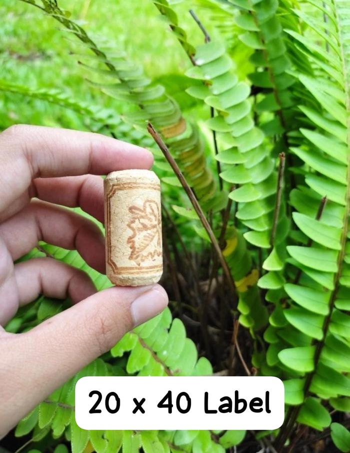 Jual IMATTON CONICAL CYLINDER cork wine stopper tutup botol kaca tutup ...