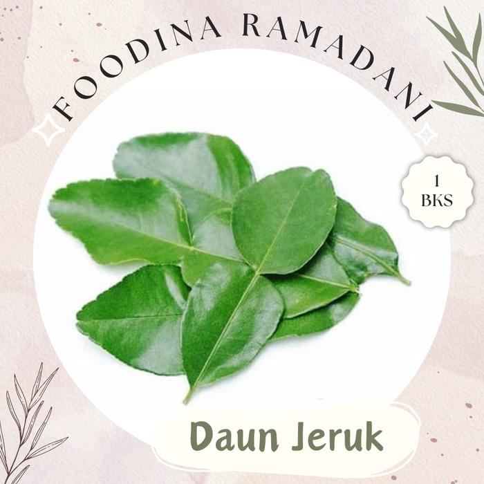 Jual DAUN Jeruk Perut - Lime Leaf Fresh [ Size Berat S ] Harga Per BKS ...