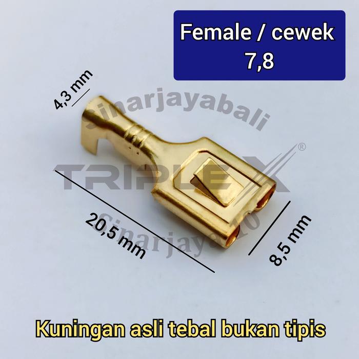 Jual sekun besar male female skun pipih gepeng cowok cewek terminal ...