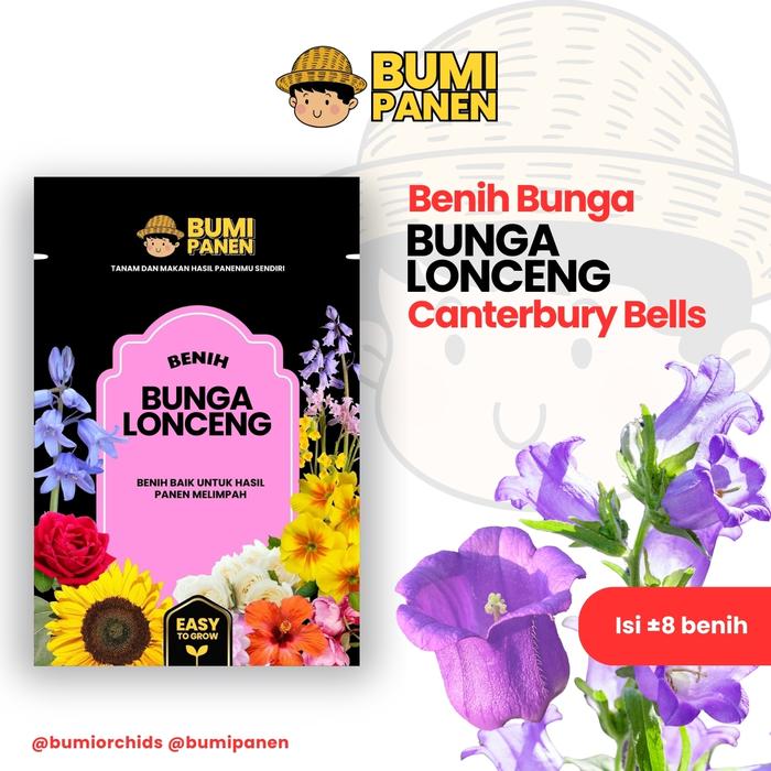 Promo Benih Bunga Lonceng / Canterbury Bells / Campanula medium ...