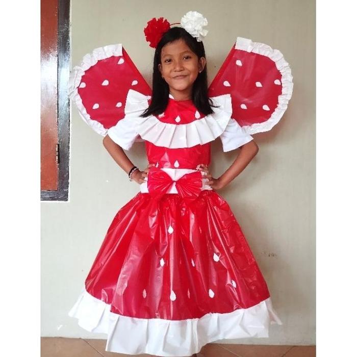 Jual Gaun Merah Putih | Kostum Daur Ulang Merah Putih | Kostum Karnaval ...