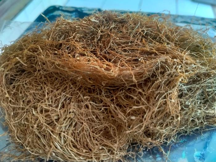 Jual Tembakau mole original Darmawangi - Kab. Bandung - Gannn3_tobacco ...