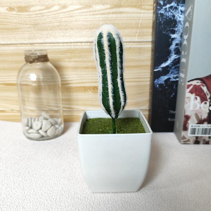 Jual Tanaman Hias Mini Pot Pohon Kaktus Dekorasi Pajangan Rumah ...