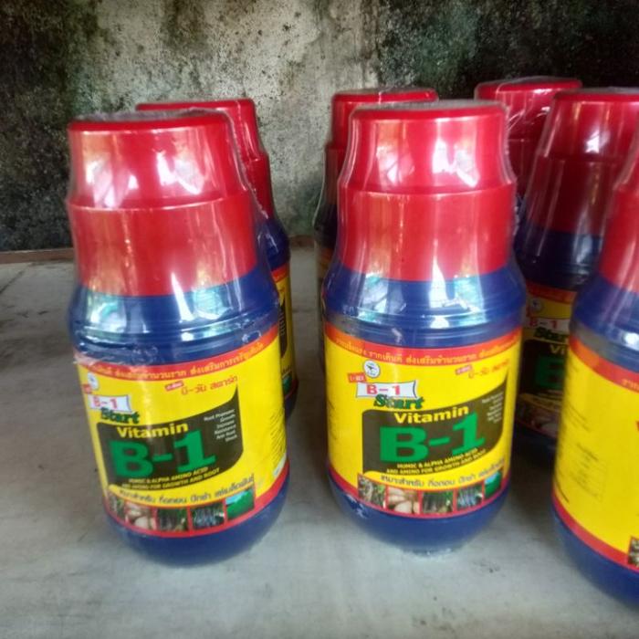 Jual vitamin b1 thailand 500ml - Kota Medan - Almada Plants | Tokopedia