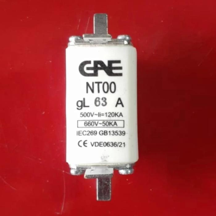 Jual NT Fuse Size 00 20A 35A 40A 50A 63A 80A 100A 125A 160A GAE 500 Volt - 100A - Kota Surabaya ...