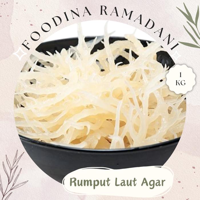 Jual RUMPUT LAUT Agar Basah - Seaweed Fresh [ 1.000gr ] Harga Per KG ...