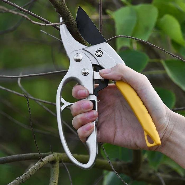 Jual Pruning Shears Gunting Dahan Bunga Gunting Pohon Gunting Tangkai ...