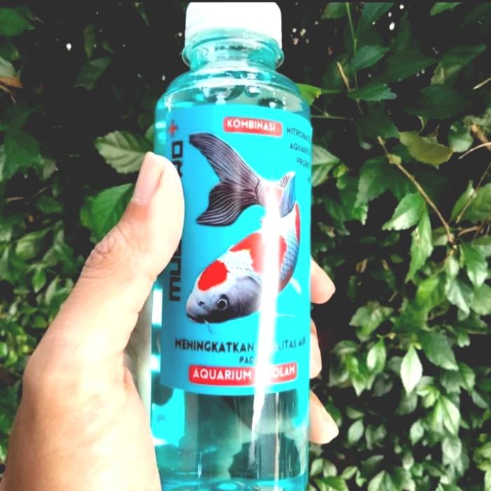 Jual Anti Algae Obat Anti Lumut KOLAM KOI Anti Jamur dan Parasit - Kota ...