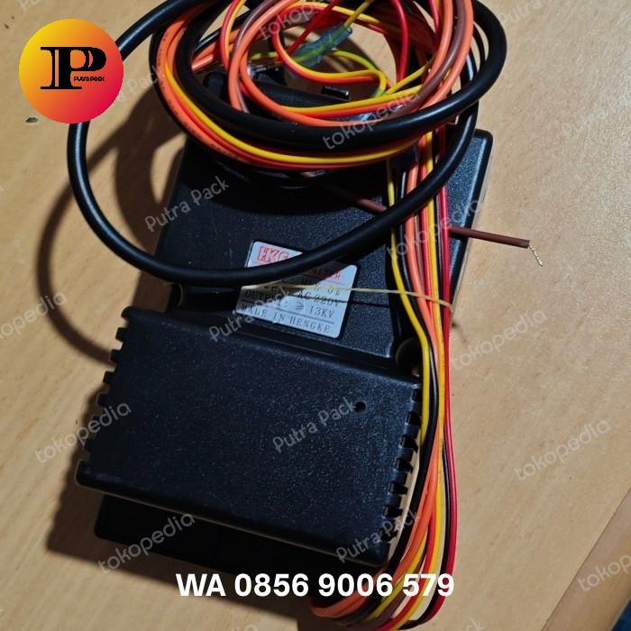 Jual Modul Pemantik Oven / Igniter Coil Original HKE HLK-01 - Jakarta ...