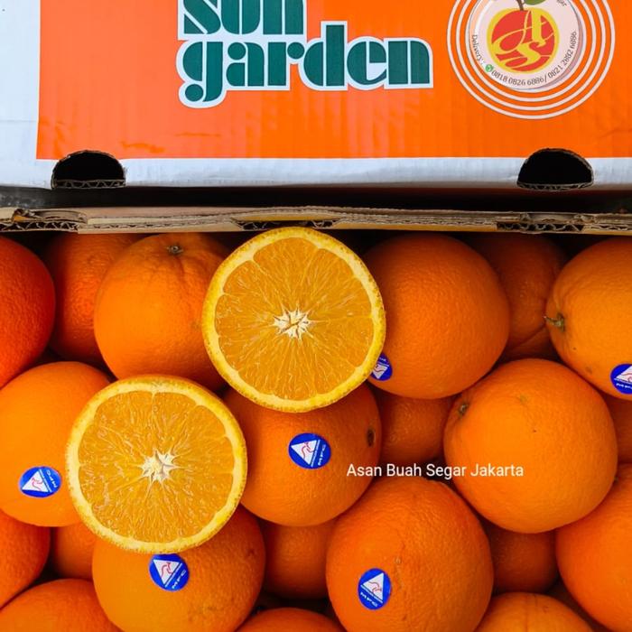Jual Sunkist | sunkis | sunkist navel - 1kg - Jakarta Utara - asan_buah ...