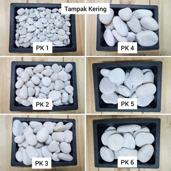 Jual Batu Putih Kupang 10 KG Batu Alam Koral Sikat Hias Taman - PK3 (40 ...