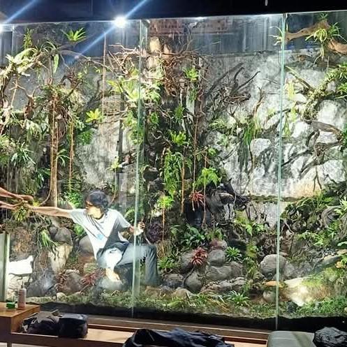 Jual vivarium terrarium mega tank 8 meter - Jakarta Barat - AQUASCAPE ...