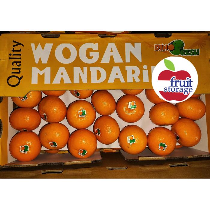 Jual Jeruk Kupas Mandarin / Wokam Wogan Murcott 1kg import Manis ...