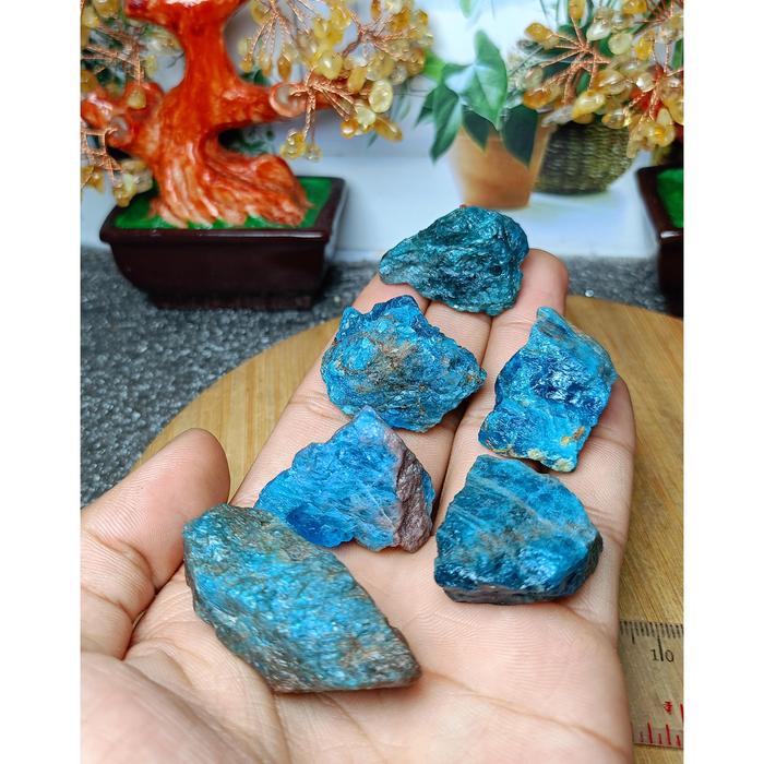 Jual Natural Blue Apatite High Quality Rough / Raw Deep Blue Paket (3 ...