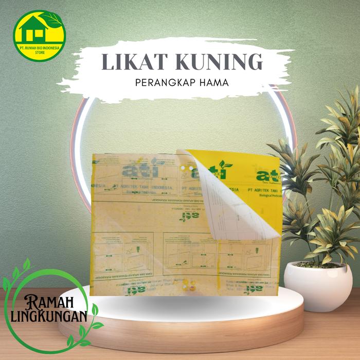 Promo PERANGKAP HAMA LIKAT KUNING (Yellow Trap) - Jakarta Utara - Rumah ...