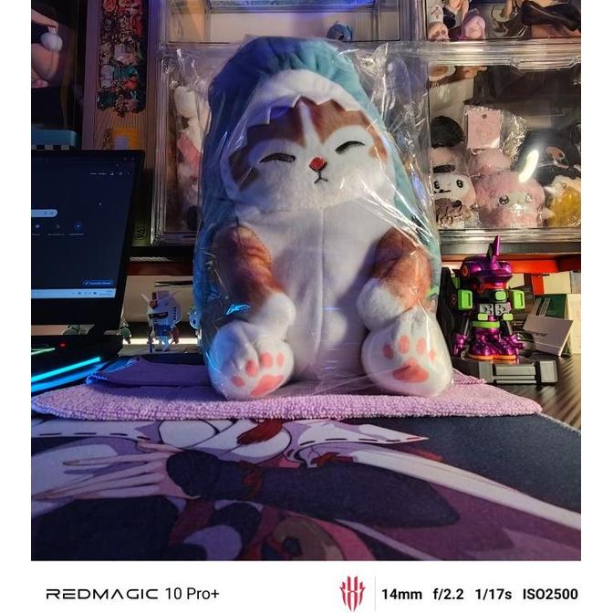 Jual Boneka Mofusand Shark Nyan Cat Great White Shark BIG Ver. [ Hiu ...