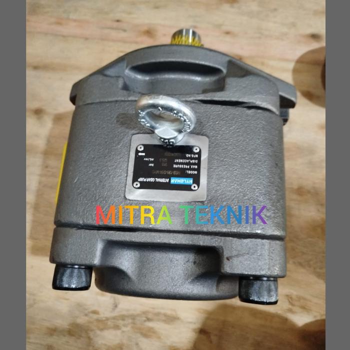 Jual Persamaan Voith Gear Pump Servo Hyleman HG2-125-01R-VPC Persamaan ...