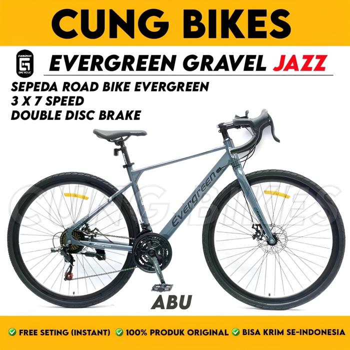 Jual Sepeda Balap atau sepeda Road bike Evergreen Rapier 700 C - Abu ...
