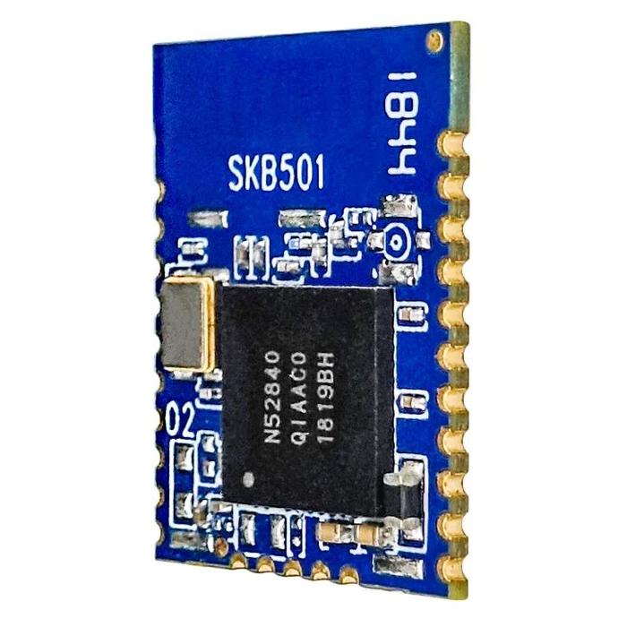 Jual Ready to Ship Low energy nrf52840 ble 5.0 bluetooth module for ...