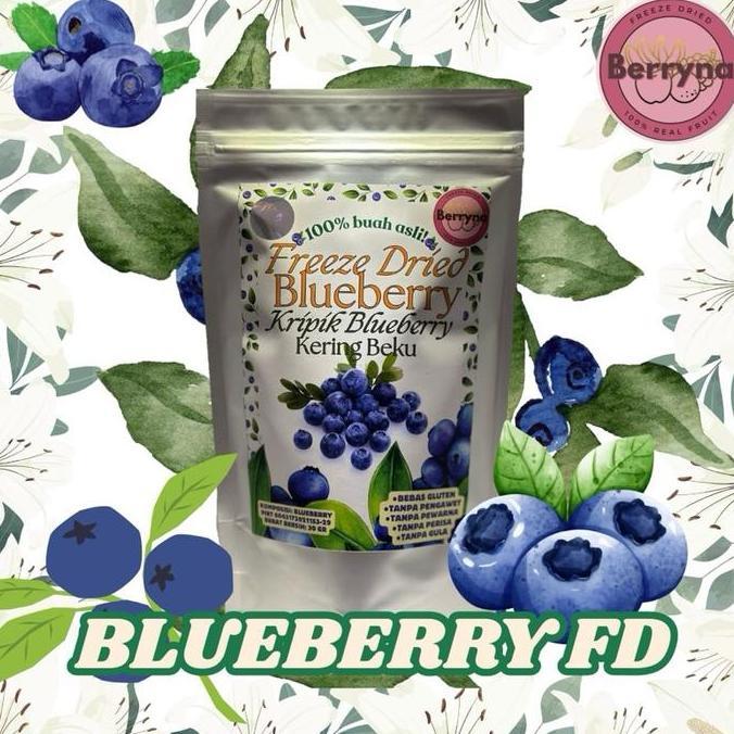 Jual Berryna Blueberry Superfood Kering Beku Freeze Dried 30G Cemilan ...
