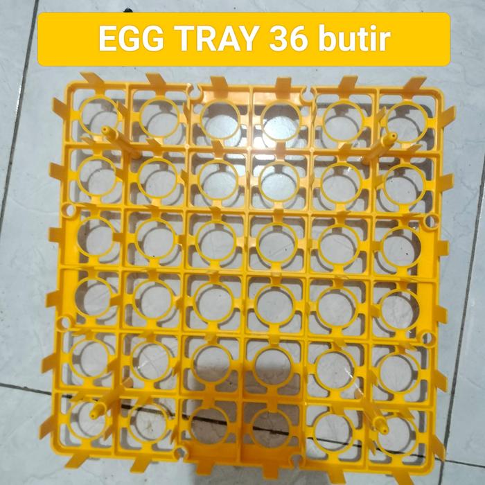 Jual EGG TRAY TELUR AYAM 36 BUTIR RAK TEMPAT TELUR Ayam, bebek, entok ...