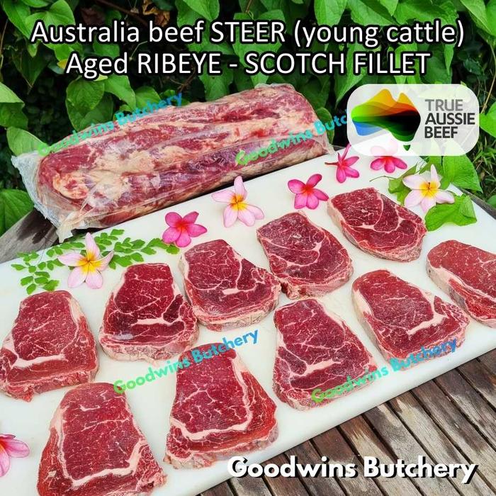 Promo Beef RIBEYE Australia STEER (young cattle) aged-frozen whole cuts ...