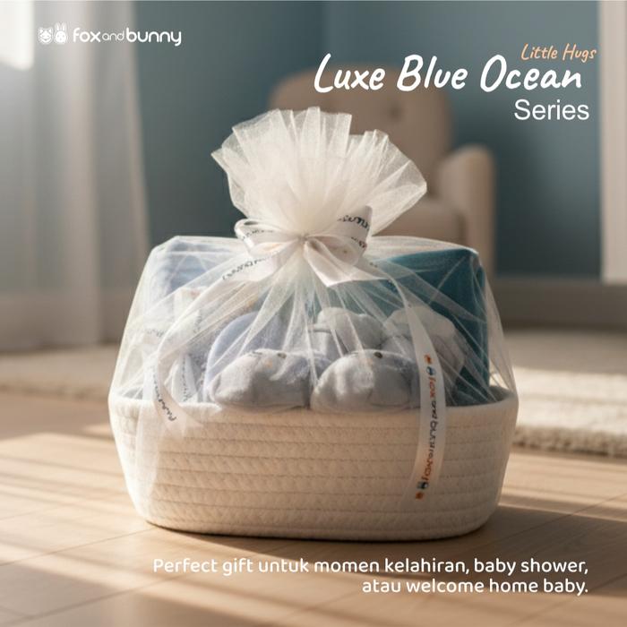 Promo Foxandbunny - Kado Lahiran Premium Baby Boy Hampers New Born dan ...
