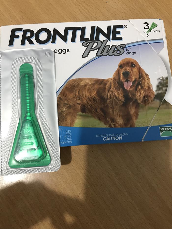 Jual Obat Tetes Kutu Anjing Medium FRONTLINE PLUS 1 Pipet ORIGINAL ...