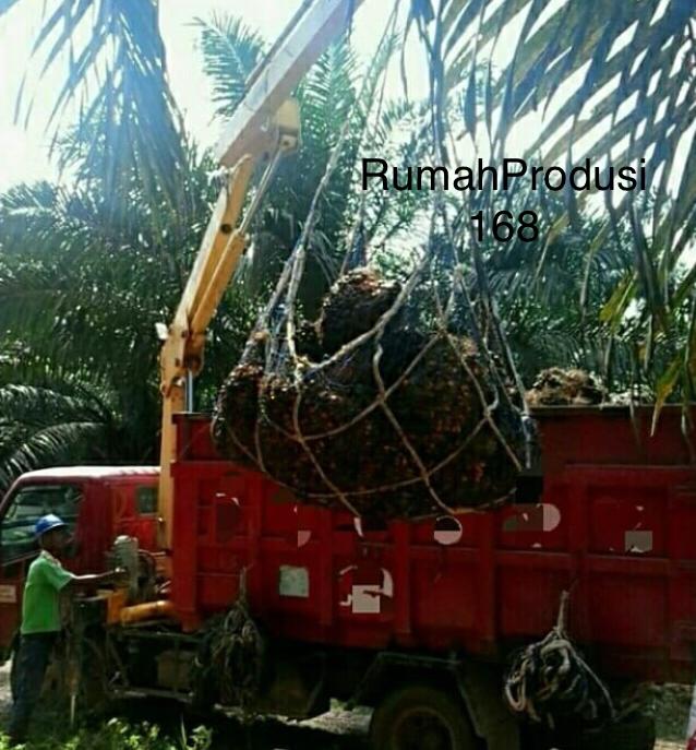 Jual Jaring angkat sawit jaring panen sawit loading net - Kota ...